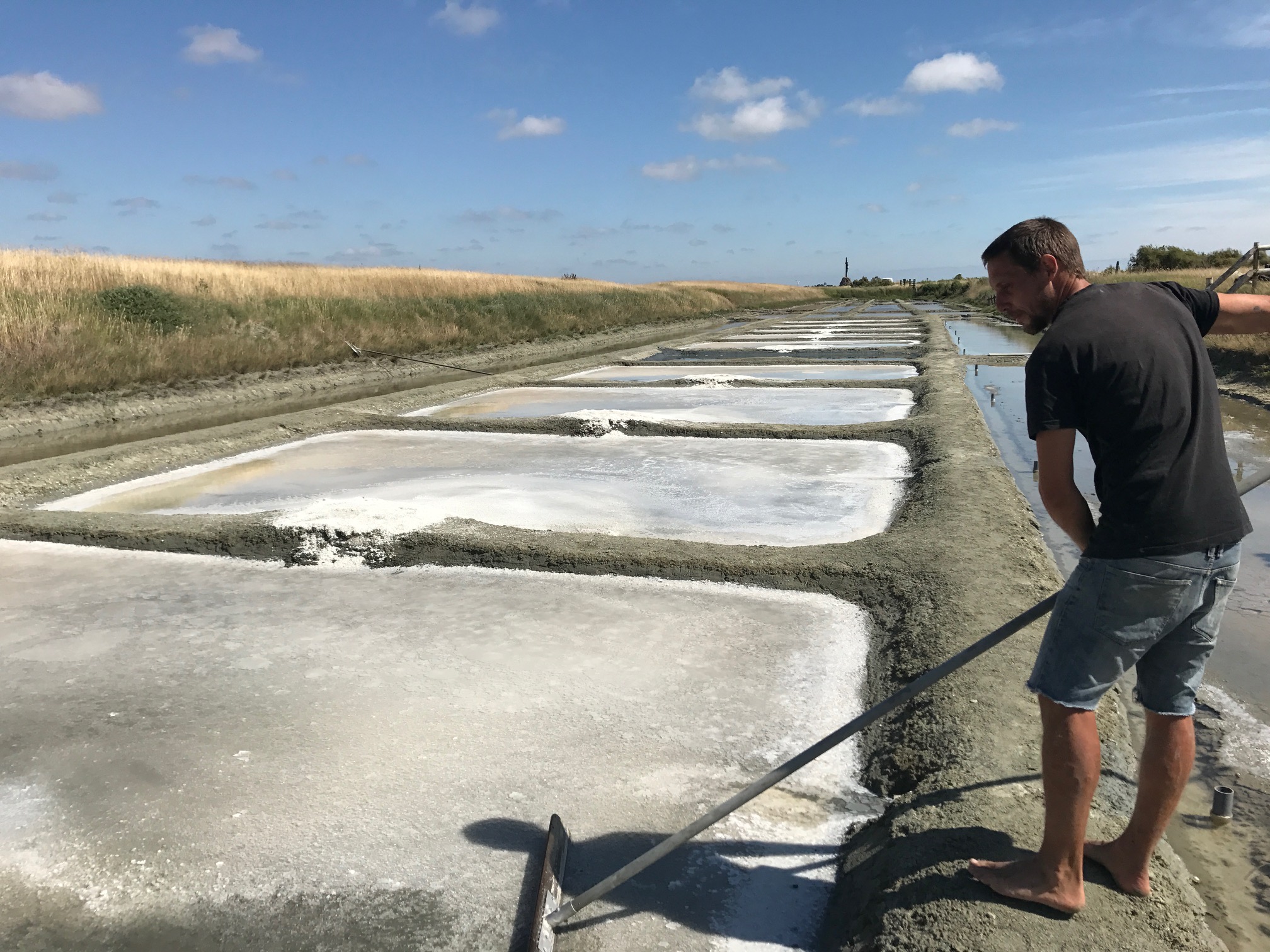 France Info - La saison du sel marin et le temps des confitures ...