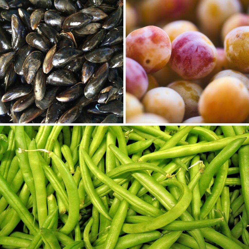 Recettes - Laurent Mariotte - Retrouvez toutes les recettes